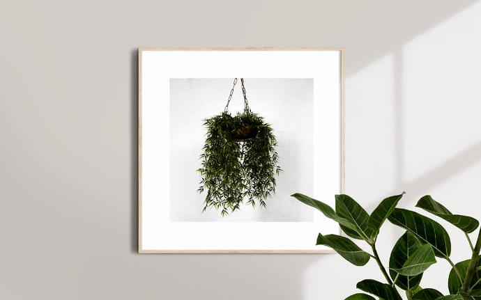 Mockup tranh canvas hình vuông - Download Mockup miễn phí | Free ...